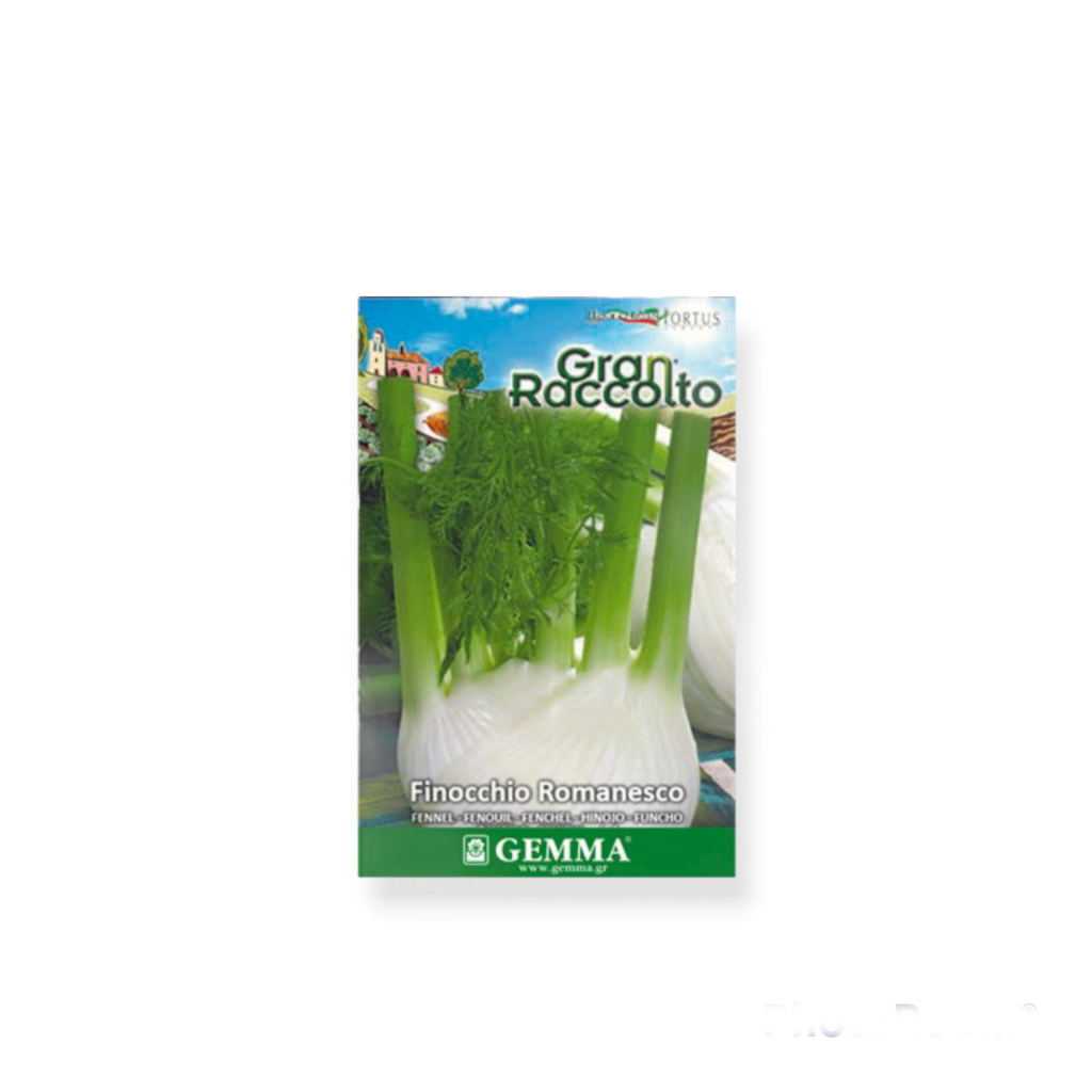 Φινόκιο raccolto – GARDEN ECO